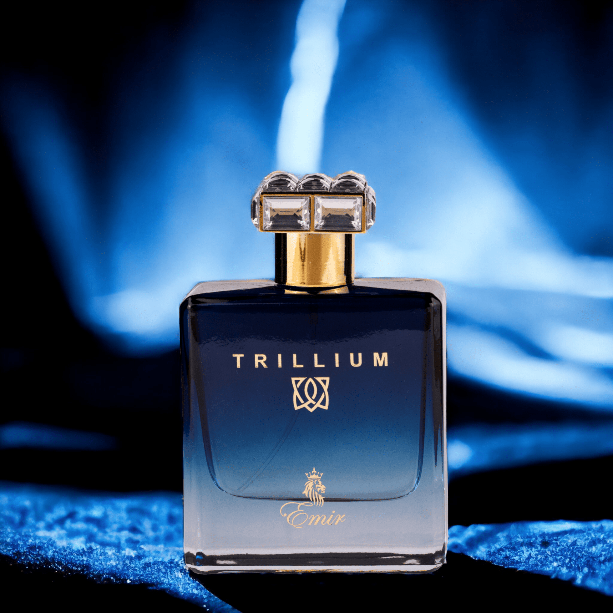 Trillium by Emir - Men Perfume - EDP 100 ml
