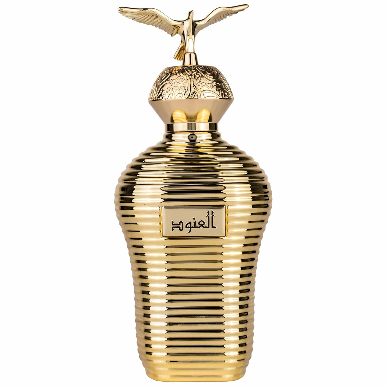 Alonoud By Maison Asrar - Men Perfume - EDP - 100 ml